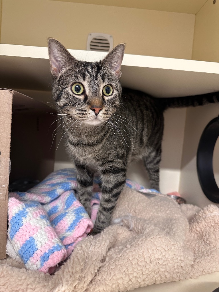 Benjamin | City of Bloomington, Indiana