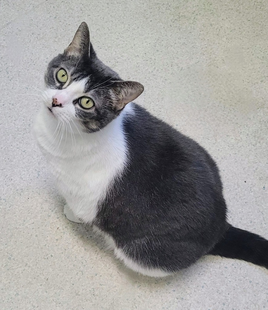 Skeeter | City of Bloomington, Indiana