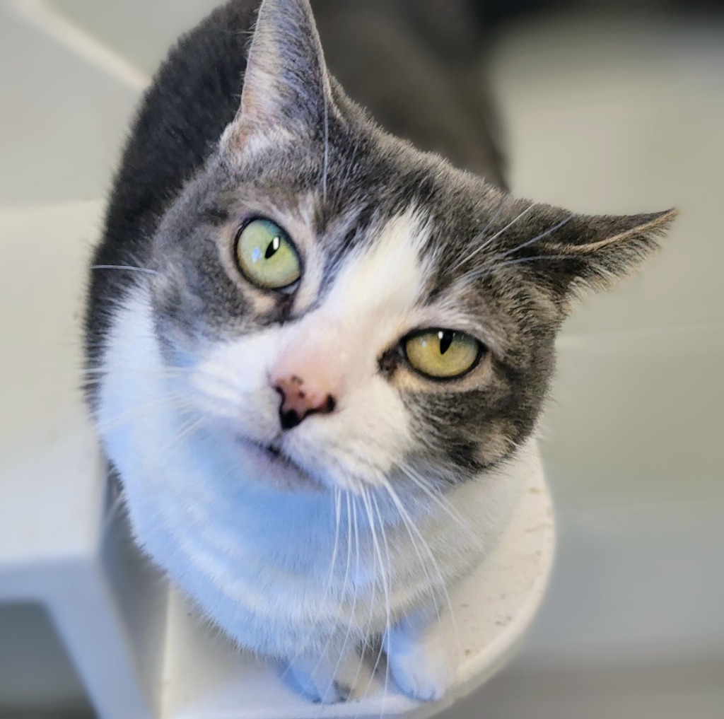 Skeeter | City of Bloomington, Indiana