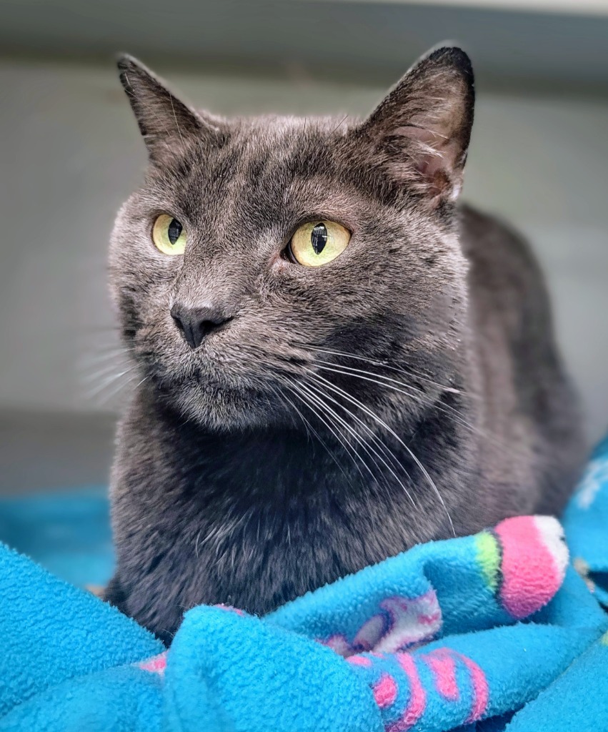 Linus | City of Bloomington, Indiana