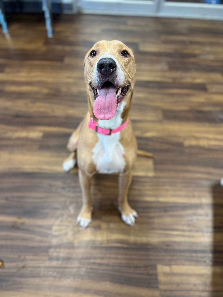 Albie Lilly | City of Bloomington, Indiana