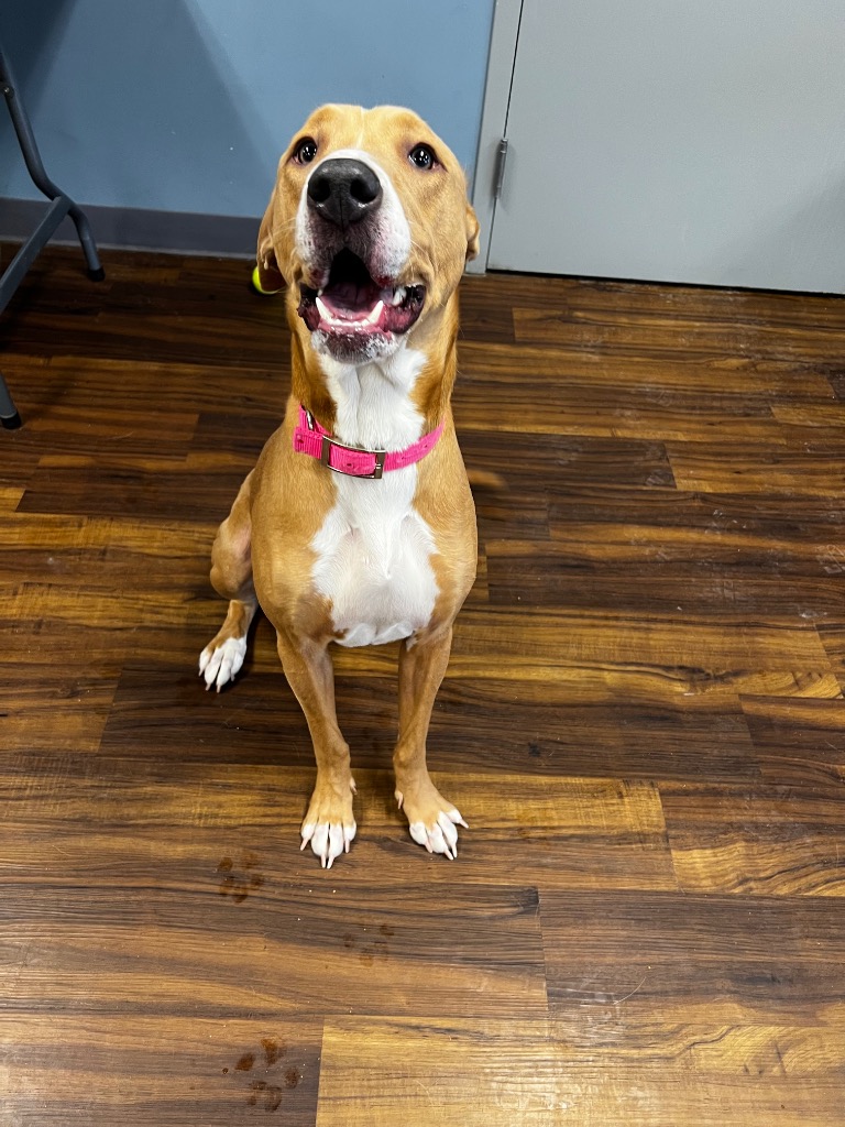 Albie Lilly | City of Bloomington, Indiana