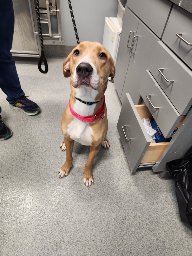 Albie Lilly | City of Bloomington, Indiana