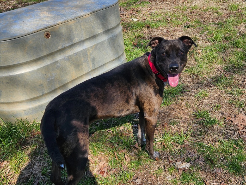 Nelly | City of Bloomington, Indiana