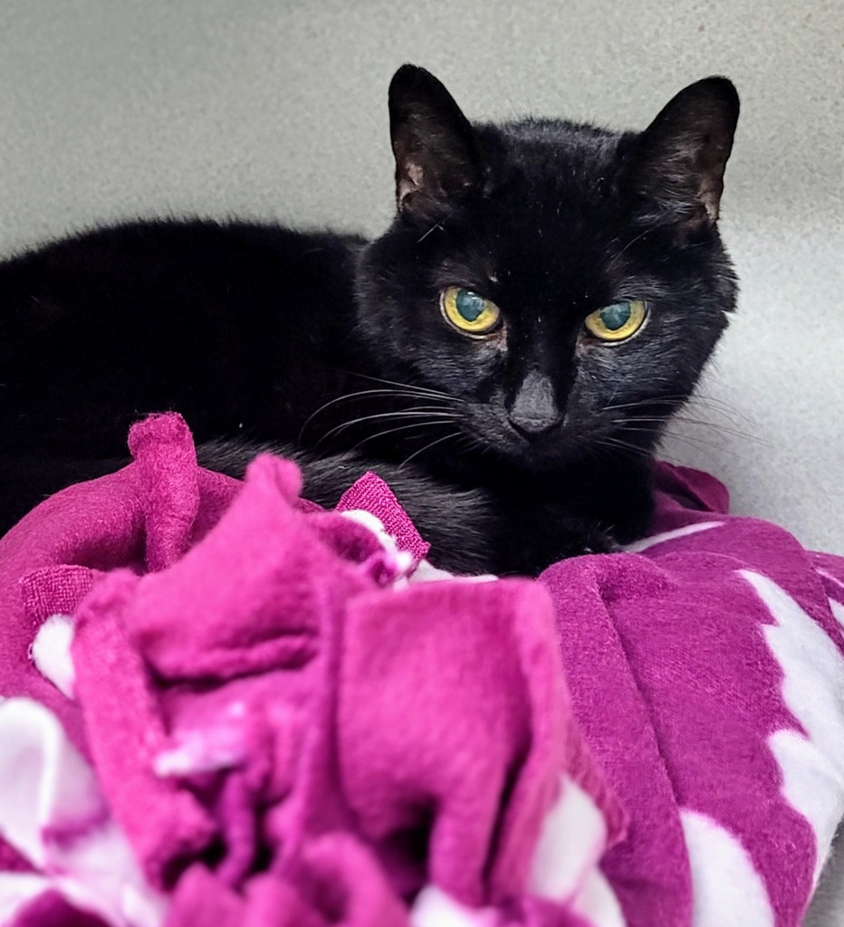 Walter | City of Bloomington, Indiana