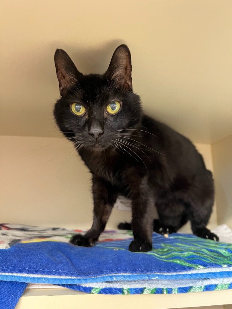 Walter | City of Bloomington, Indiana