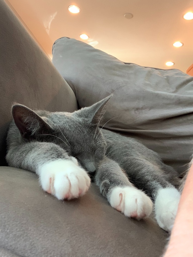 Booshie | City of Bloomington, Indiana