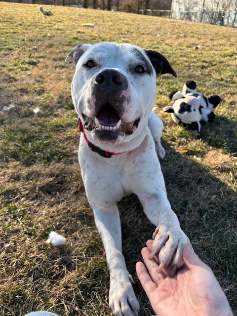 Otis | City of Bloomington, Indiana