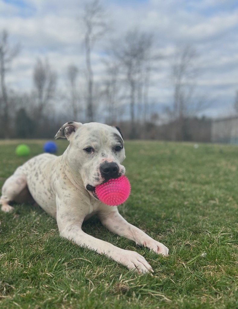 Otis | City of Bloomington, Indiana