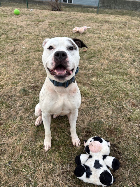 Otis | City of Bloomington, Indiana