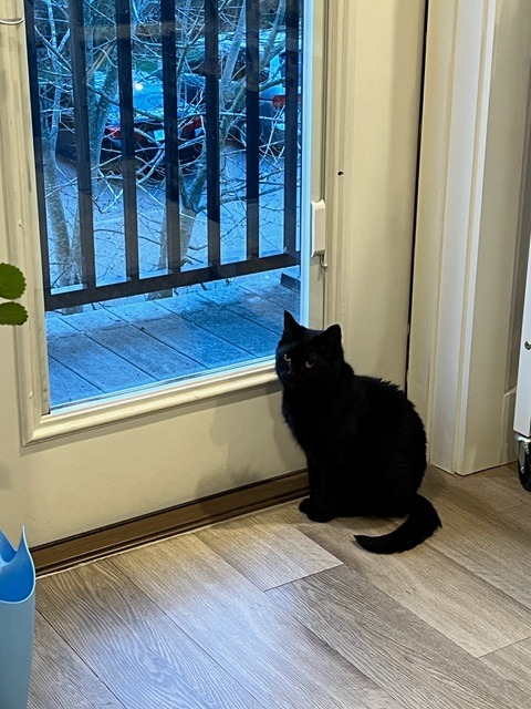 Gilda | City of Bloomington, Indiana