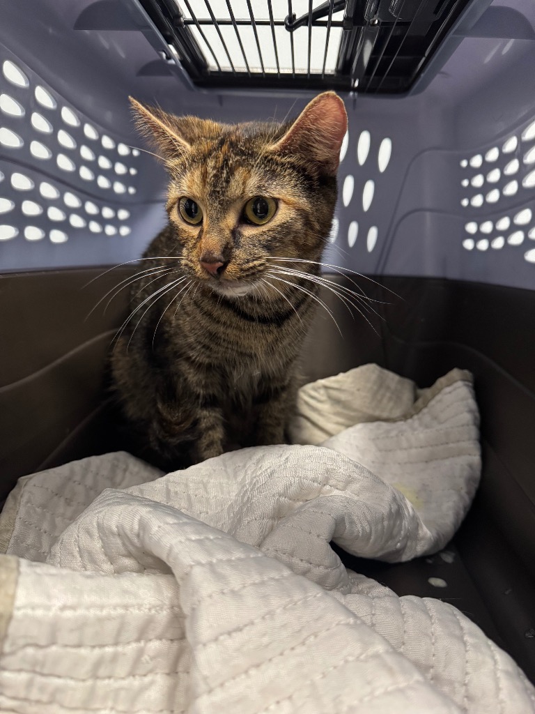 Susan | City of Bloomington, Indiana