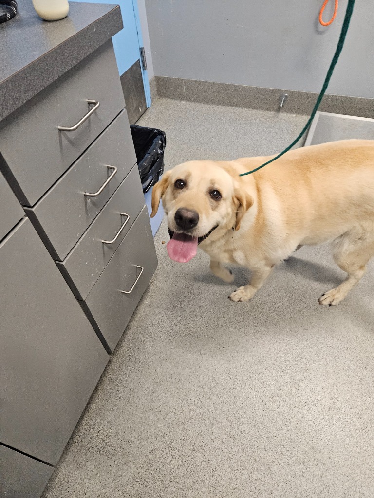 Rey | City of Bloomington, Indiana