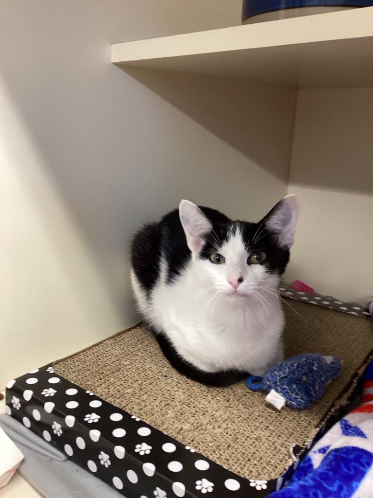 Terri Alden | City of Bloomington, Indiana