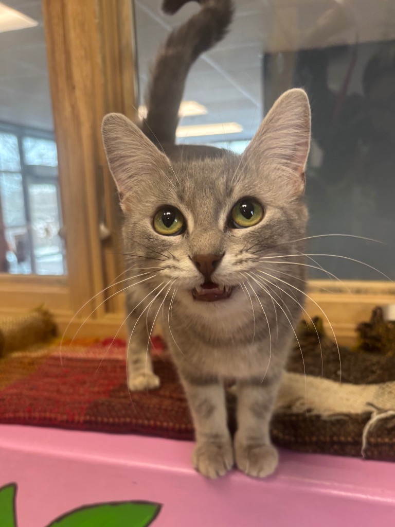 Glitter | City of Bloomington, Indiana