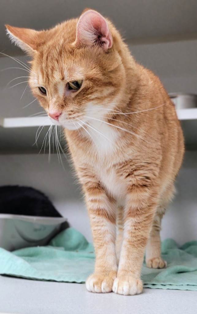 Rusty | City of Bloomington, Indiana
