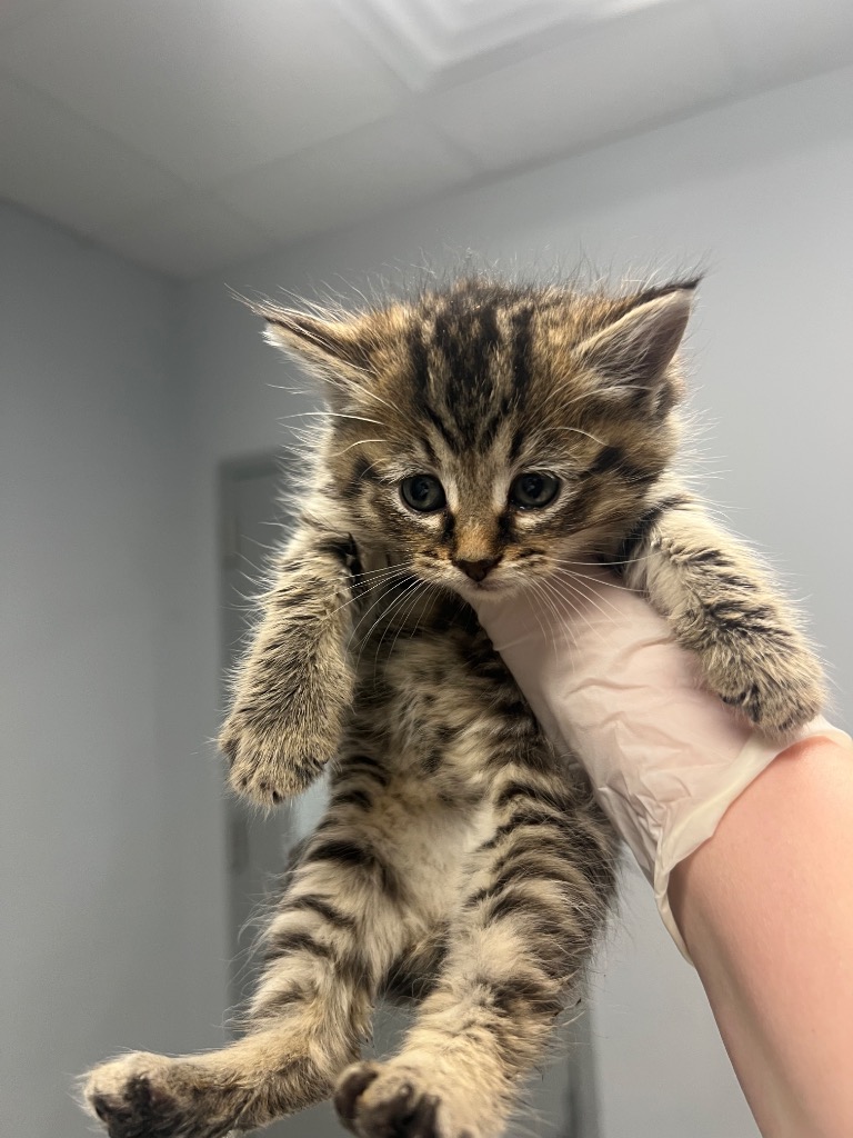 Gourd | City of Bloomington, Indiana