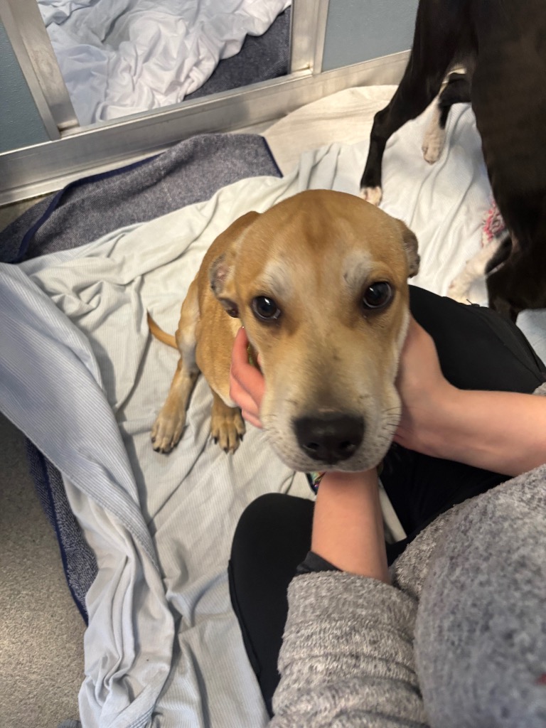 Max | City of Bloomington, Indiana